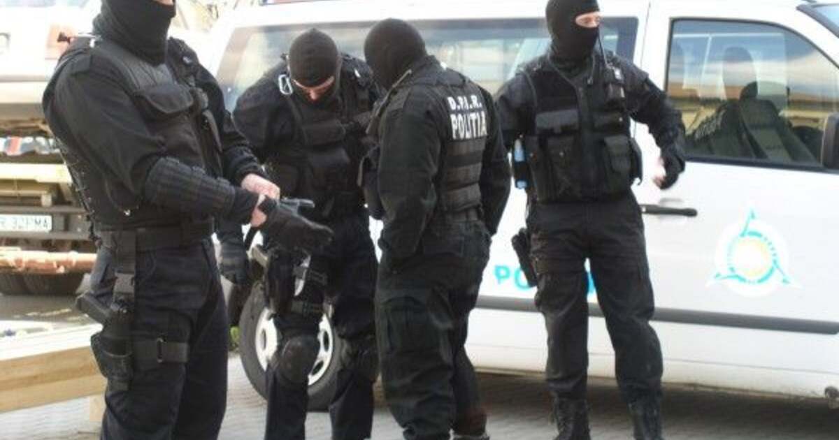Percheziții în Checheci! Polițiștii de la "Crimă Organizată" și ...