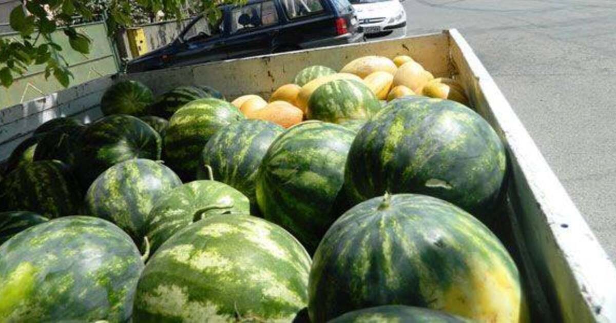 Hai la pepeni! De unde îi putem cumpăra? - ARADON