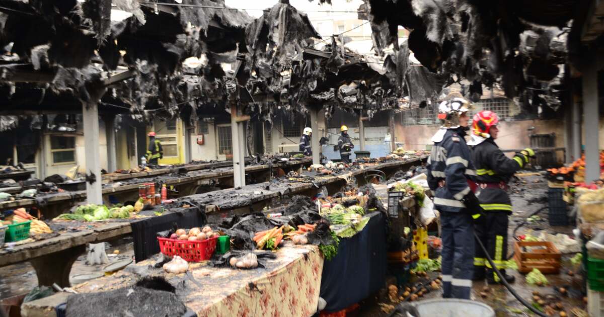 Hală nouă și parcare la Lebăda, în Vlaicu - ARADON