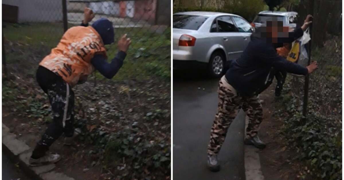 Drogul „zombie” loveşte şi în Arad - ARADON