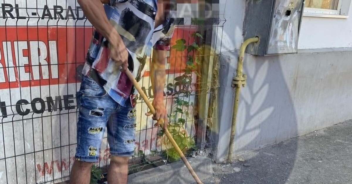 Educație cu „forța”: 1.500 de lei amendă pentru scuipat semințe - ARADON