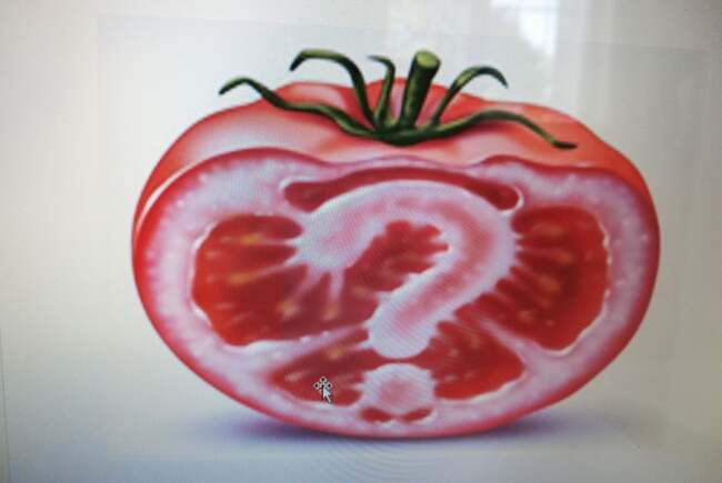 ORGANISME MODIFICATE GENETIC (O.M.G.) - ARADON