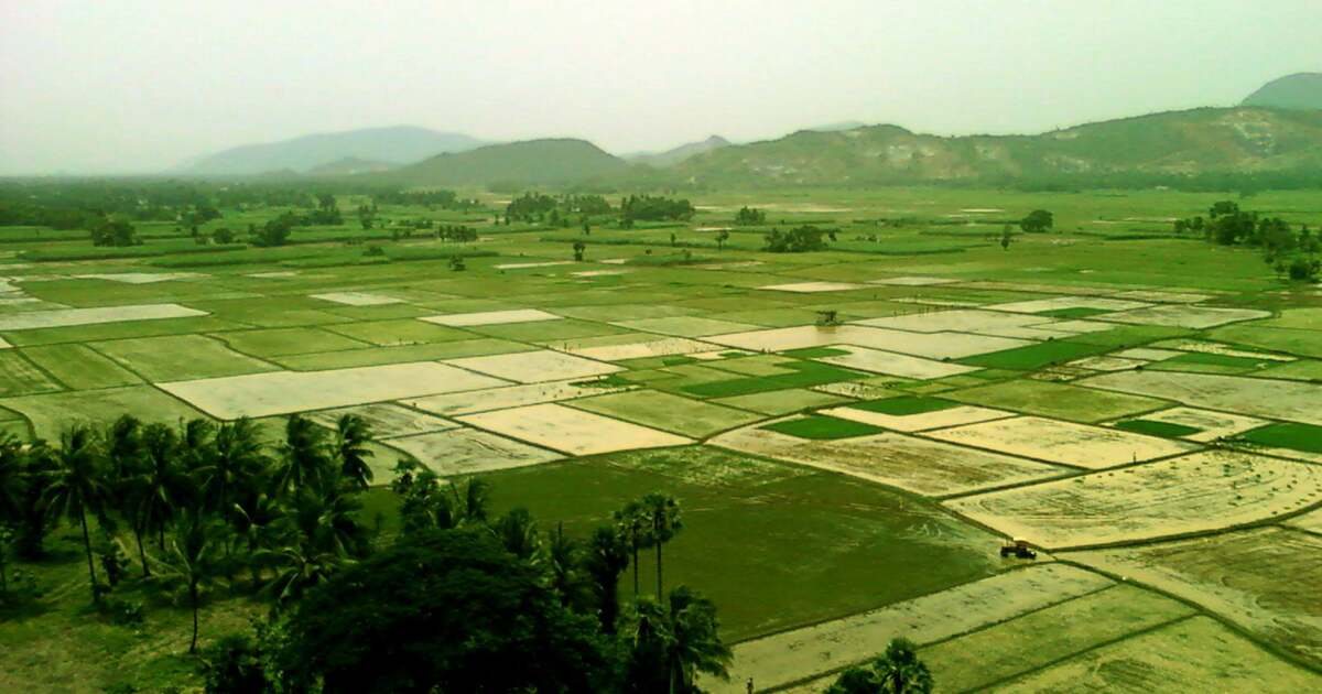 A treia rundă de întabulări gratuite la Bârzava - ARADON