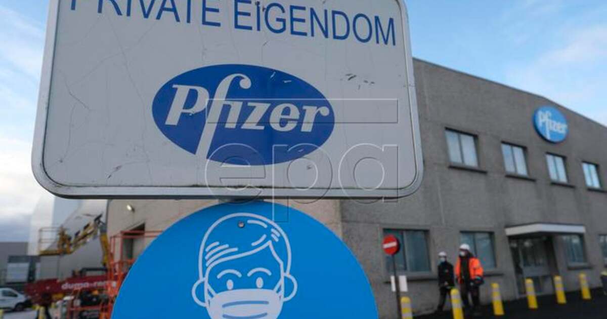 Pfizer se mută în România? Surse sindicale: serviciul de planificare ...