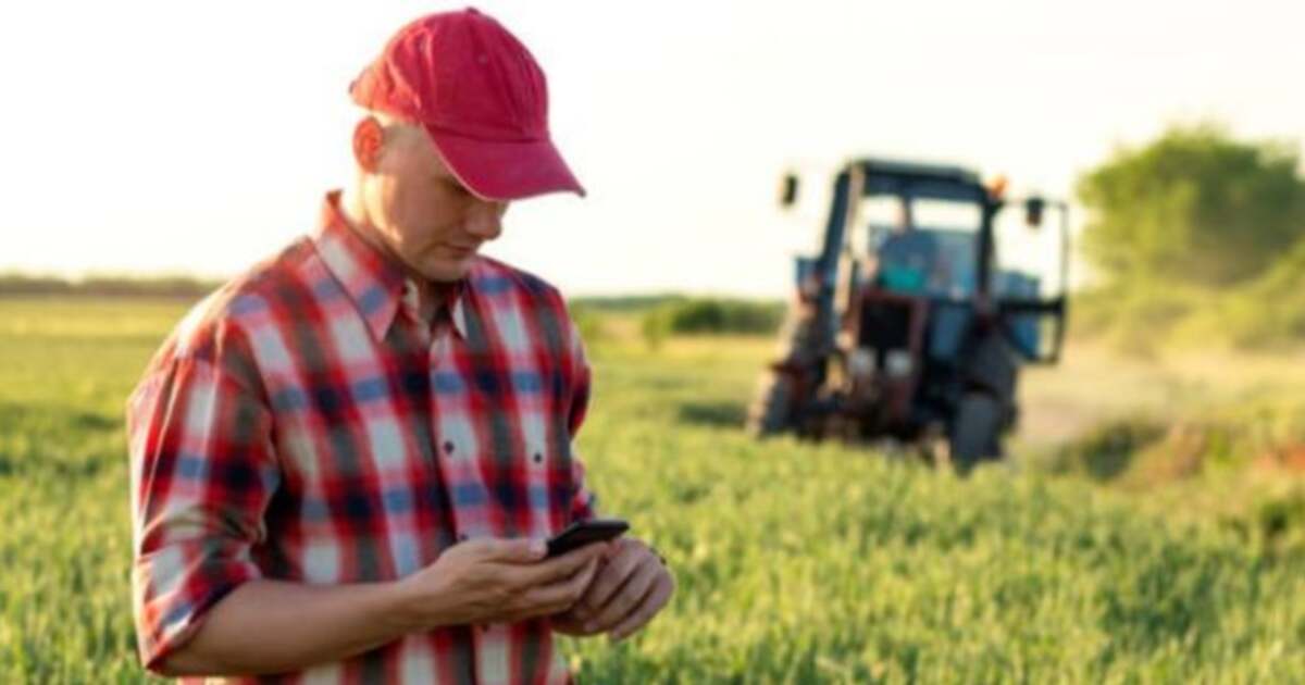 APIA a dat startul plăților în avans pentru Campania 2021 - ARADON