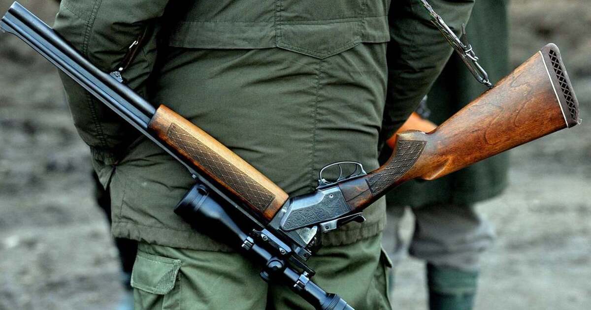 Braconaj la Sintea Mare. Un tânăr de 25 de ani, cercetat - ARADON