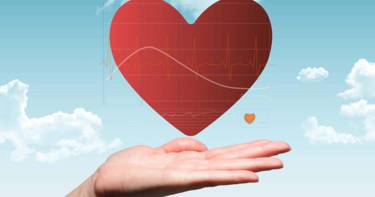 Totul despre bolile de inimă: Diagnosticare, Tratamente și Metode de ...