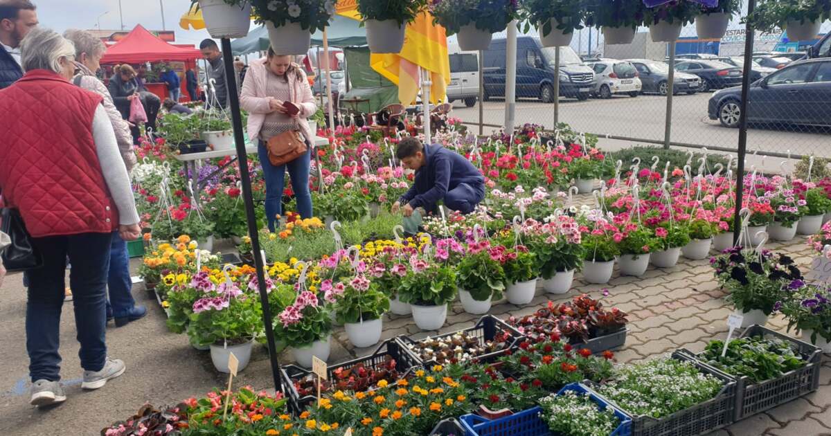 Trei târguri pentru un weekend: flori, construcții și miere la Expo ...