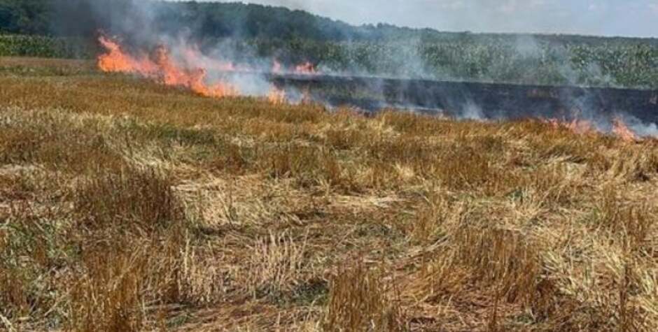 Stiri Arad online - aradon.ro