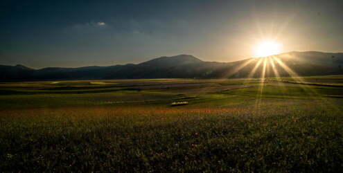 Stiri Arad online - aradon.ro