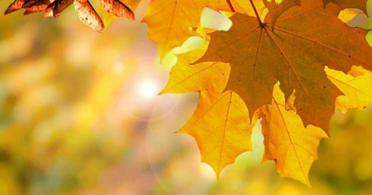 Temperaturi zilnice record în Europa. Cea mai caldă lună octombrie din ...