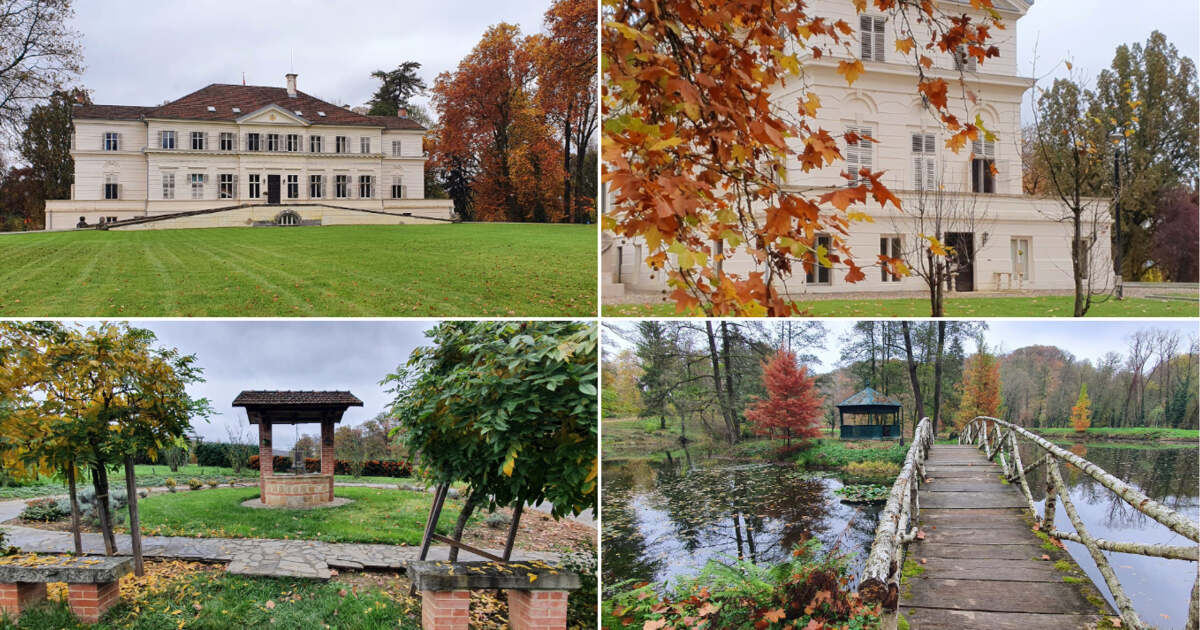 Peste 12.000 de vizitatori la Domeniul Regal Săvărşin - ARADON