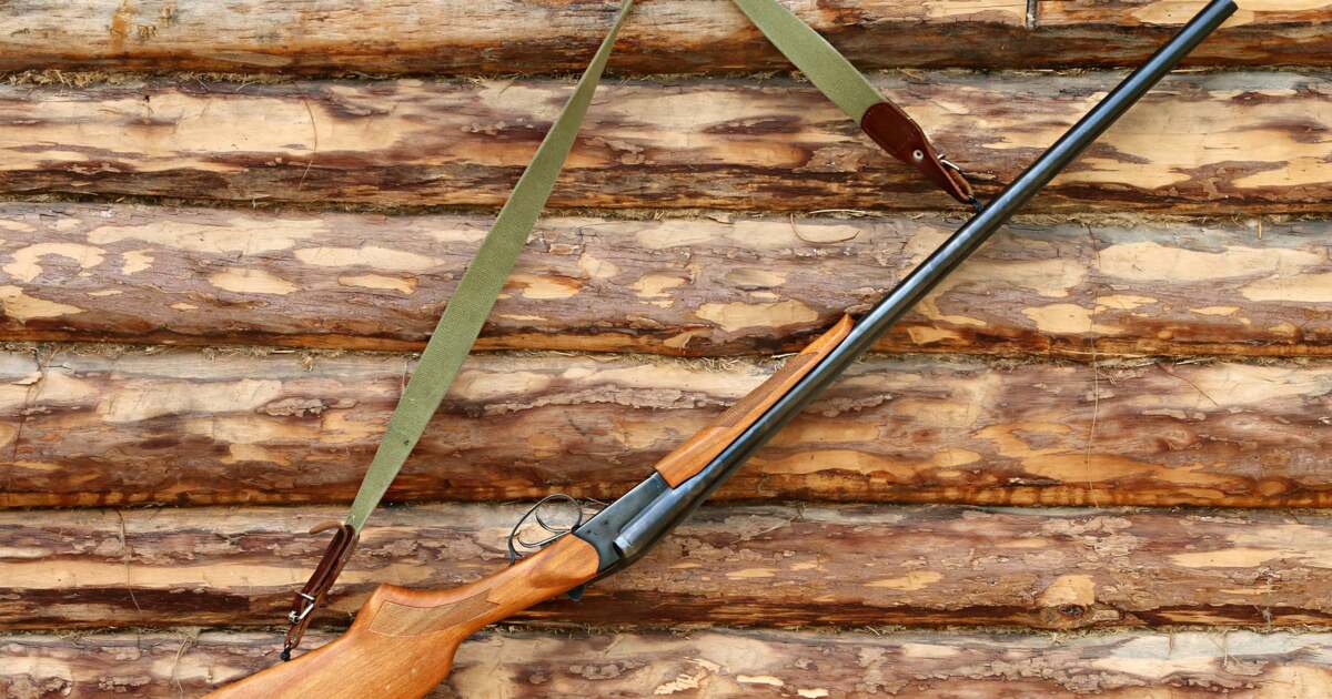 Braconier împușcat mortal la o partida ilegală de vânătoare - ARADON