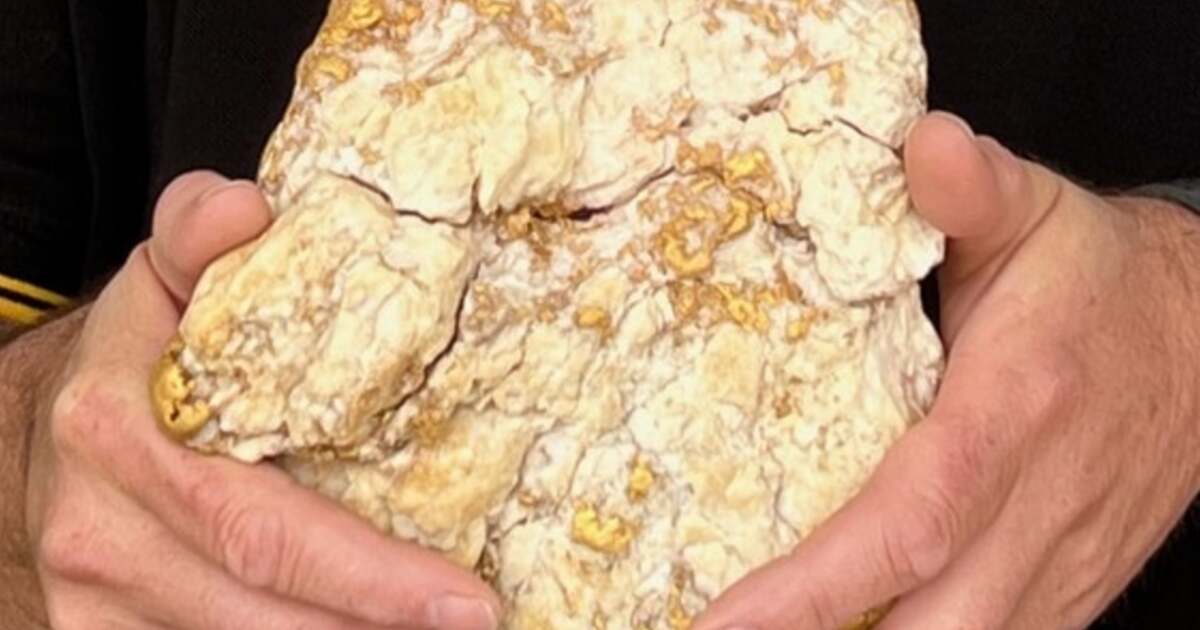 Un căutător de aur amator din Australia a descoperit două pepite ...