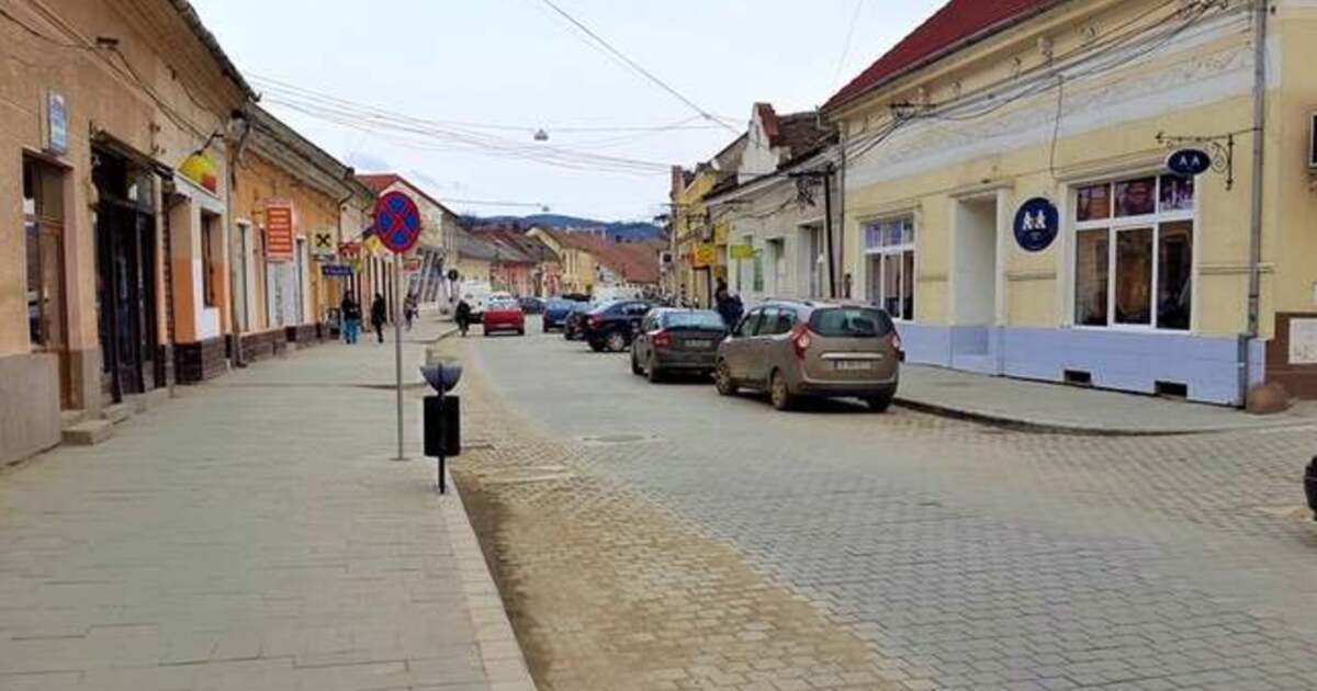 Acțiune preventivă la Lipova - ARADON