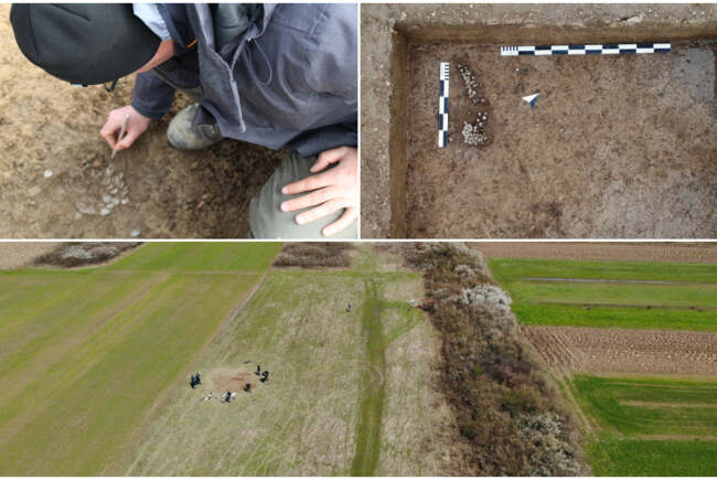 599 de denari romani de dinainte de Hristos, descoperiți la Sebiș - ARADON