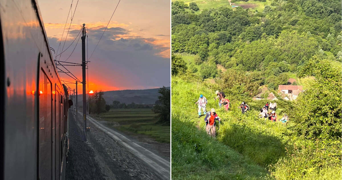 Excursie memorială în Parcul Natural Lunca Mureșului - ARADON
