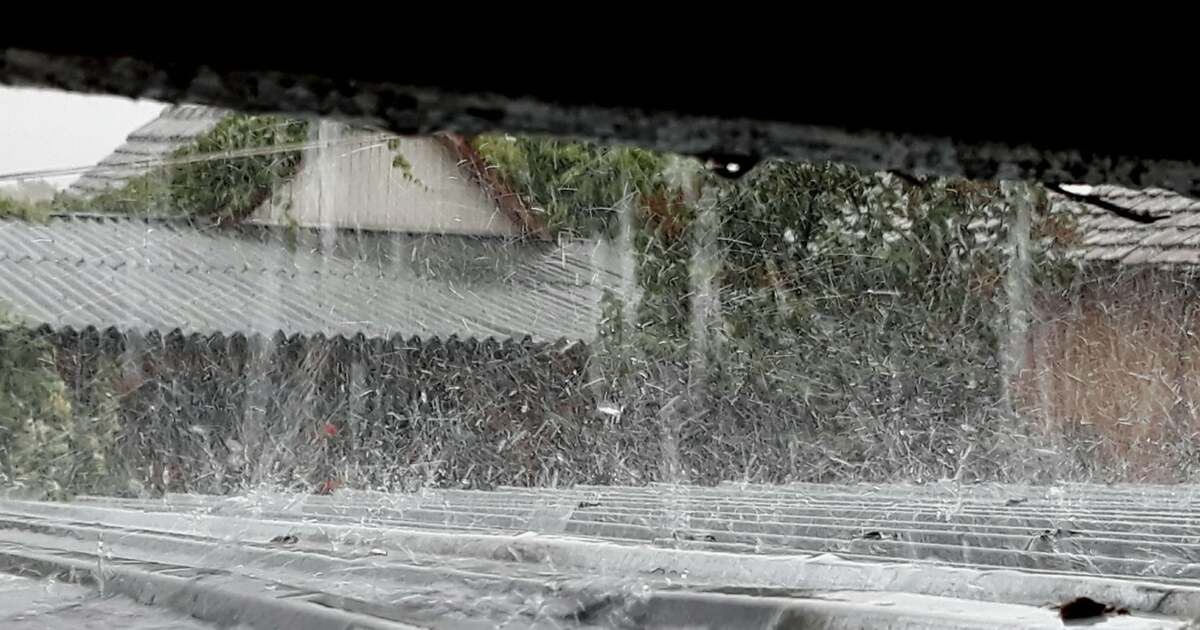 Vijelii cu grindină în zonele de munte din Arad - ARADON