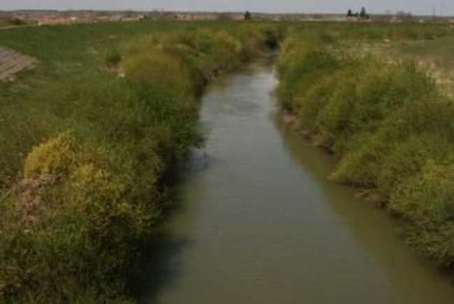 Cod Portocaliu pentru râuri din județul Arad - ARADON