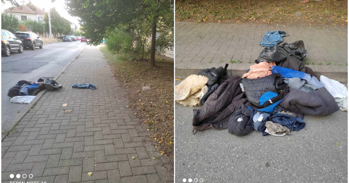 FOTO | Cine ne scapă de boschetari și mizeriile lor lăsate pe domeniul ...