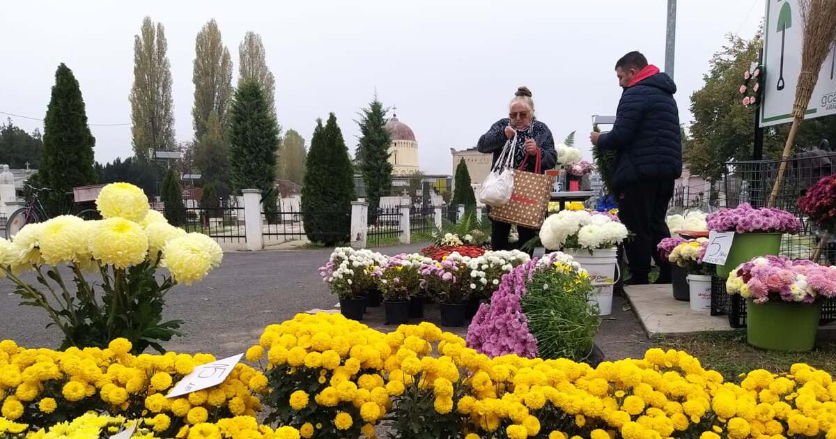 85 de locuri pentru vânzarea florilor la cimitire - ARADON