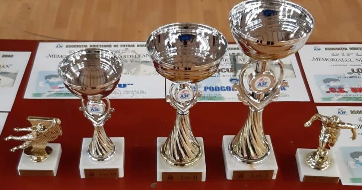 Începe Memorialul „Nicolae Ardelean” - ARADON