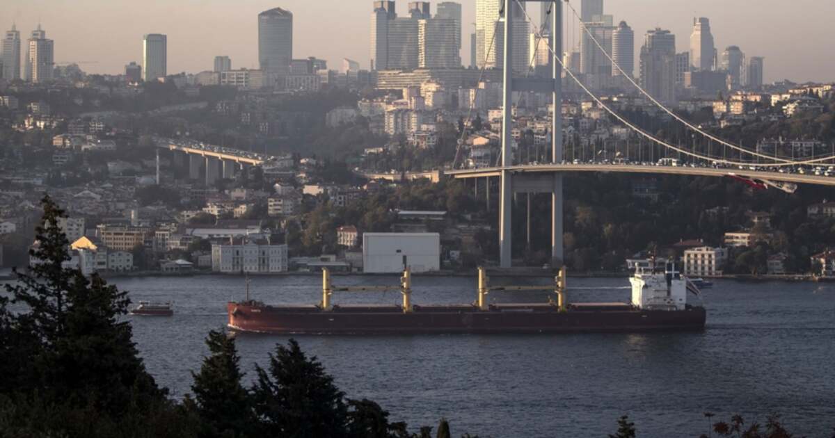 Turcia creşte cu 24% taxa pentru navele care tranzitează strâmtorile Bosfor şi Dardanele - ARADON