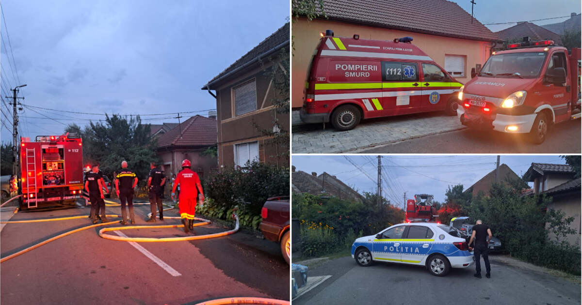 Incendiu la anexa unei case, în Grădiște - ARADON