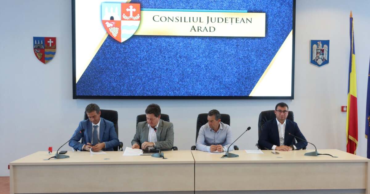 Gaz la Sintea şi drumuri la Grăniceri, pe Anghel Saligny - ARADON