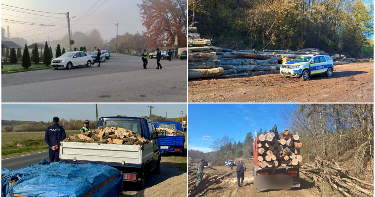 Razie a polițiștilor, în zona Buteni-Vârfurile-Hălmagiu - ARADON