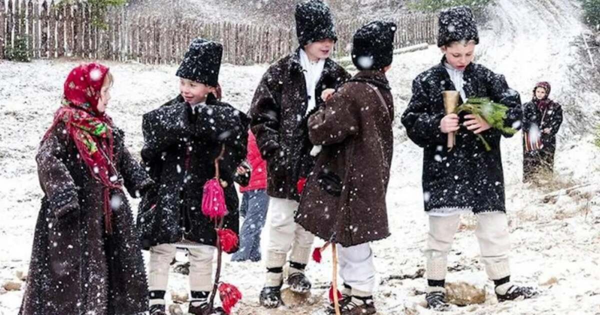 Pluguşorul 2024! - ARADON