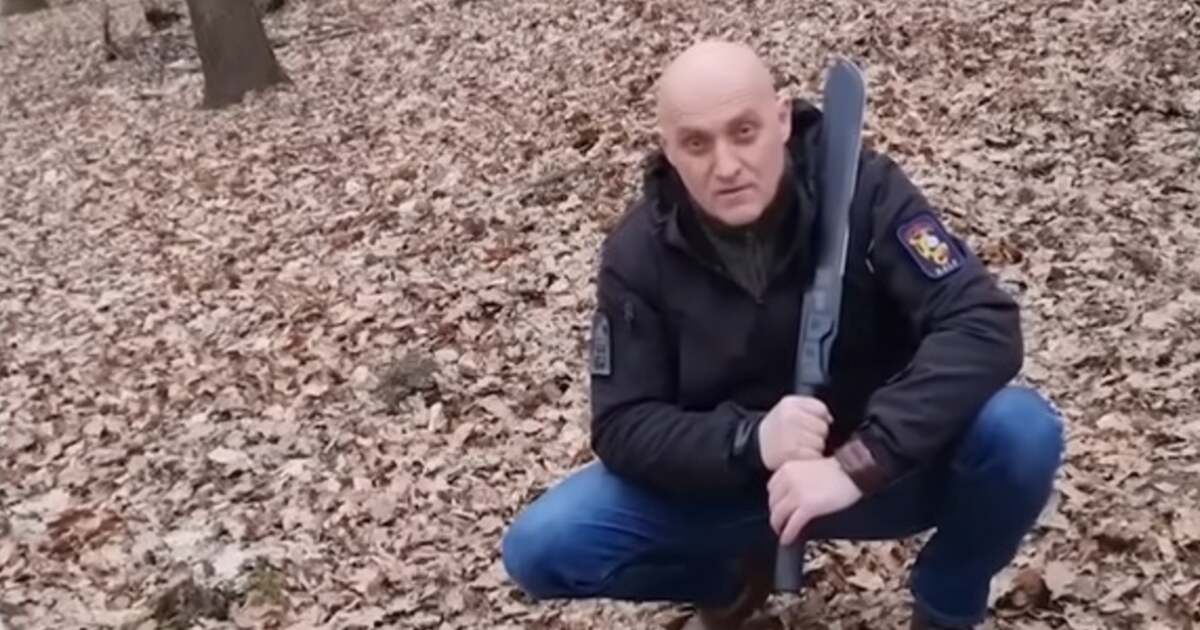 Potra - rol semnificativ în finanțarea campaniei lui Georgescu ...