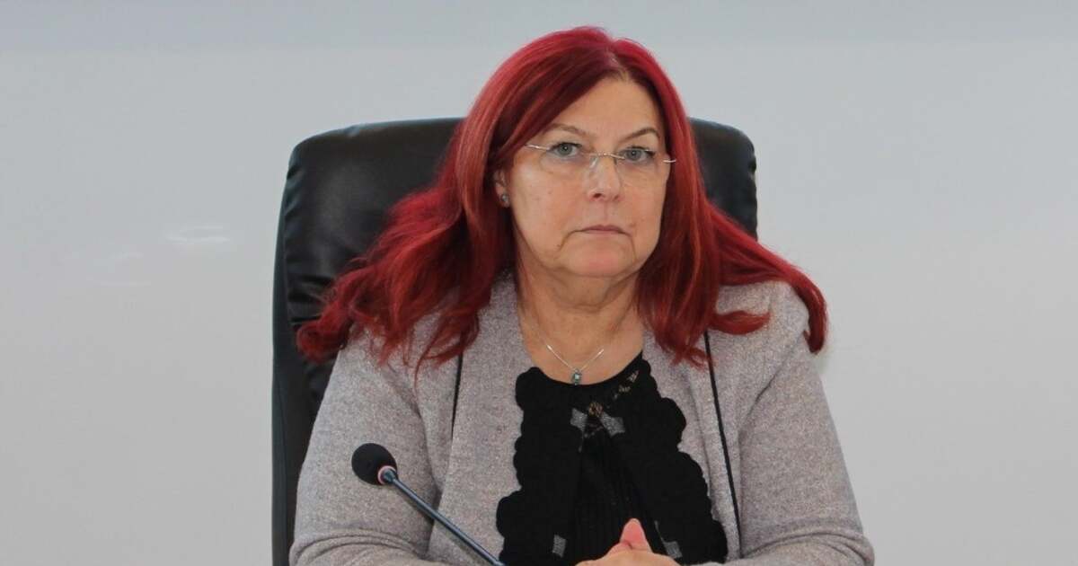 Erika Stark a plecat din fruntea DGASPC Arad - ARADON