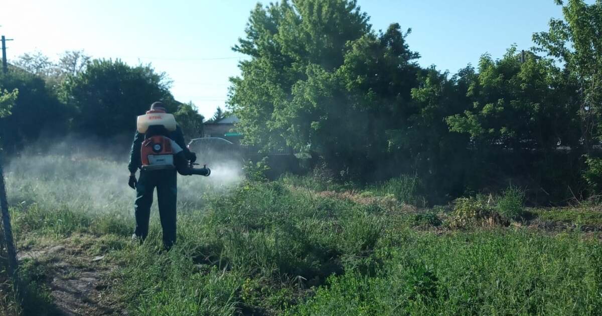Luni începe prima acțiune de dezinsecţie din acest an - ARADON
