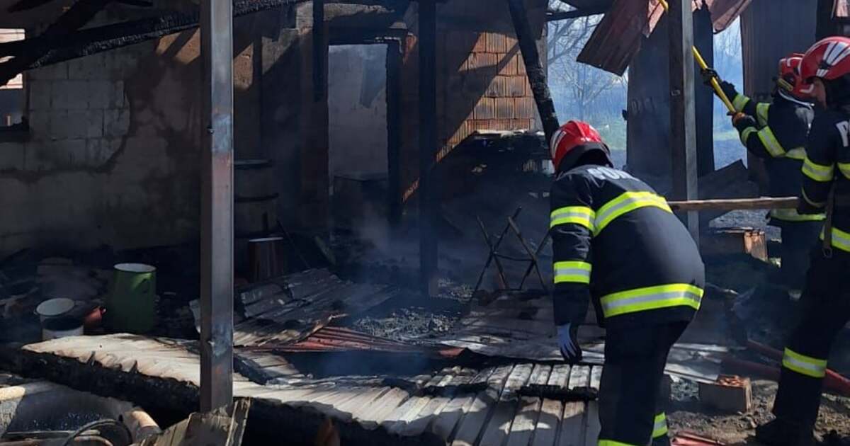 Animale moarte într-un incendiu, la Șiclău - ARADON