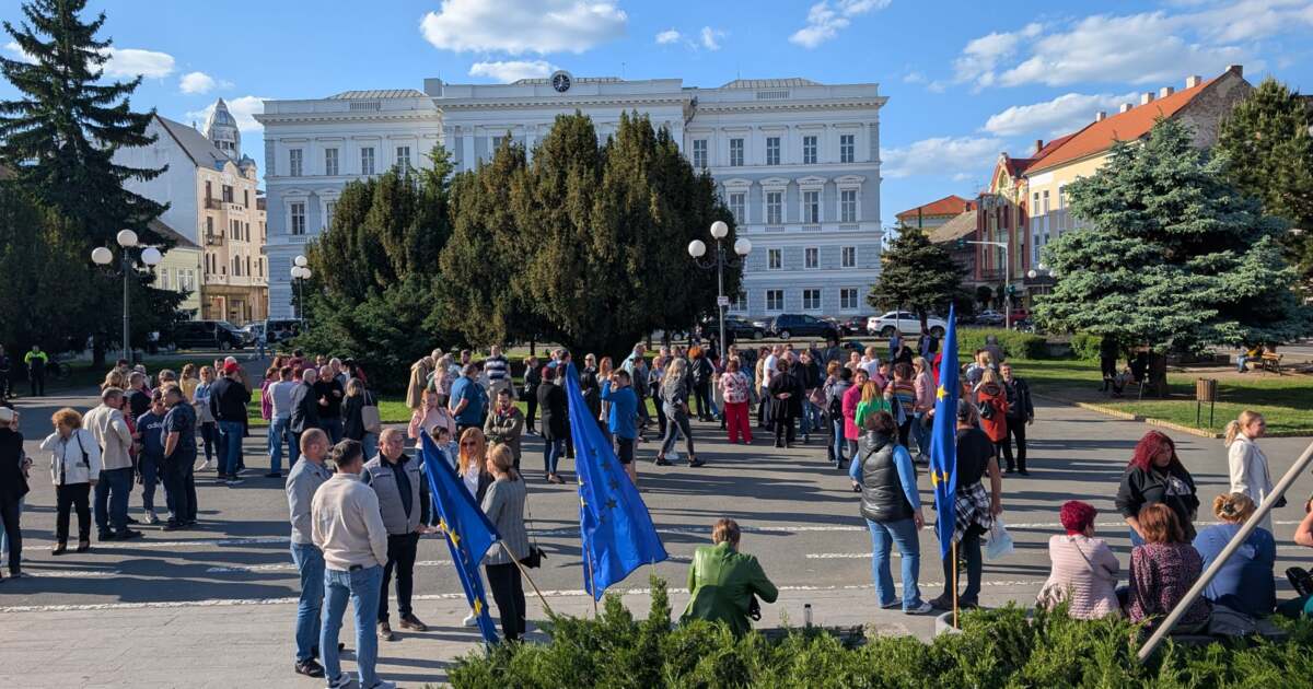 Câteva mii de persoane la manifestații pro Europa în orașe din țară ...