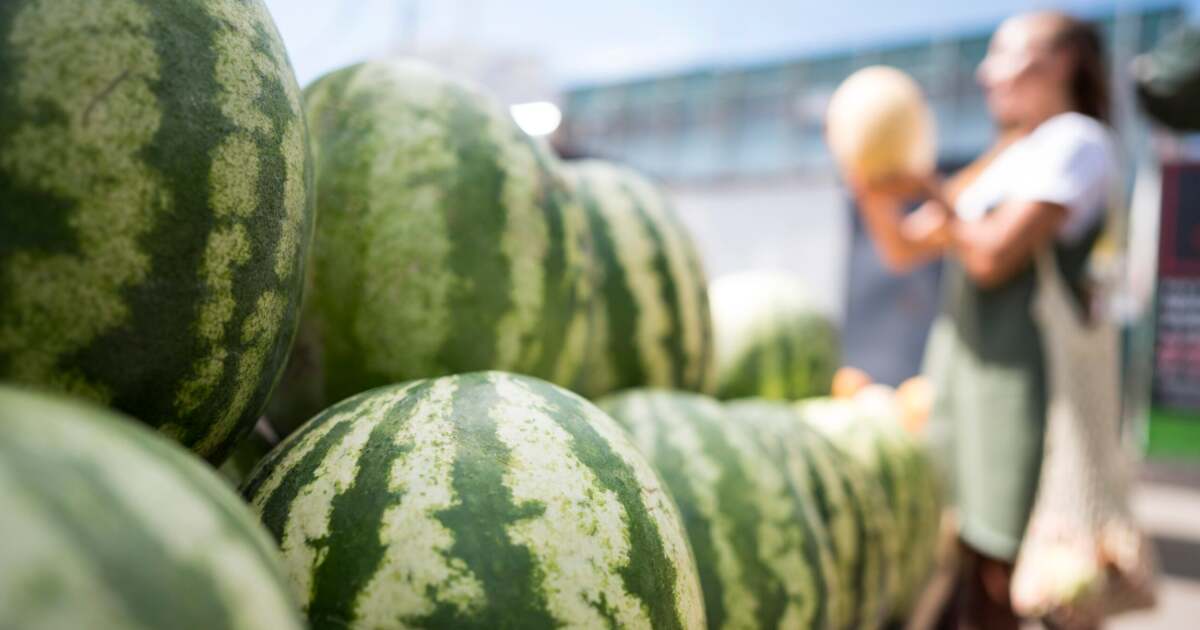 Unde se vând pepeni în cartiere? - ARADON