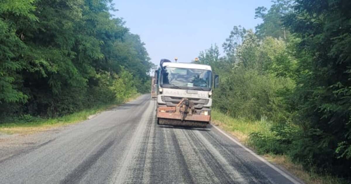 Covor nou pe Sintea Mare - Șepreuș - ARADON