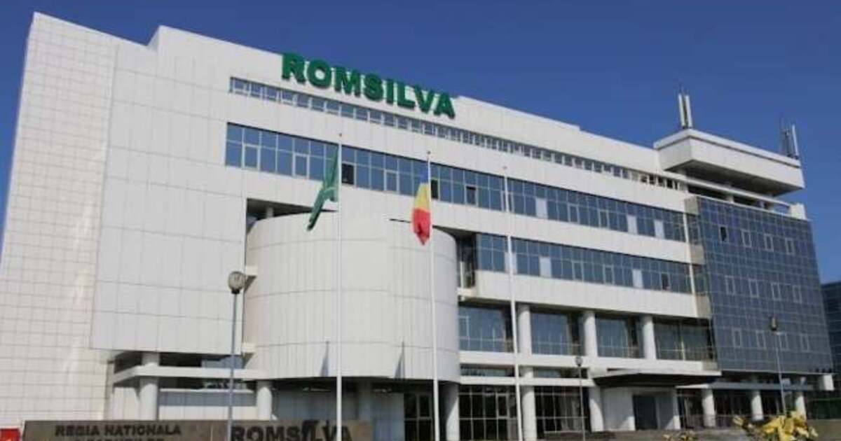 Bonusuri uriașe și restructurare: Guvernul trece la reorganizarea ...