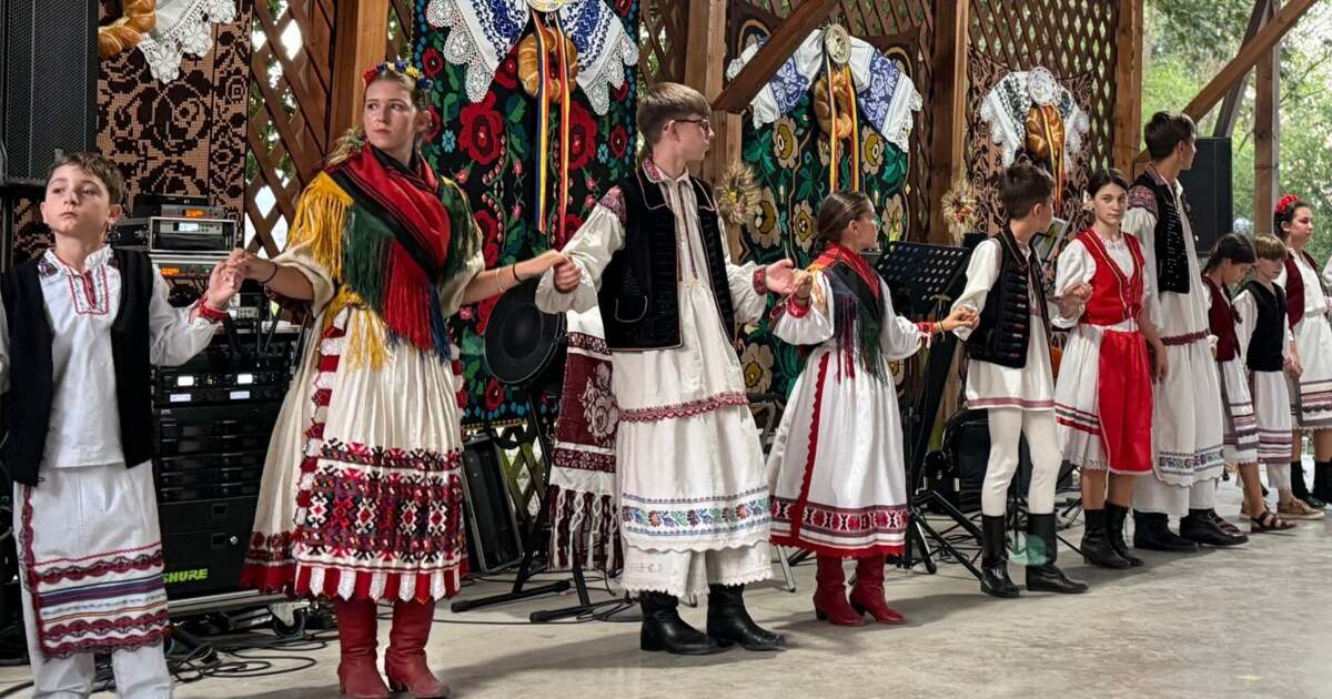 Petrecerile câmpenești, benzinăriile și azilele, la control - ARADON