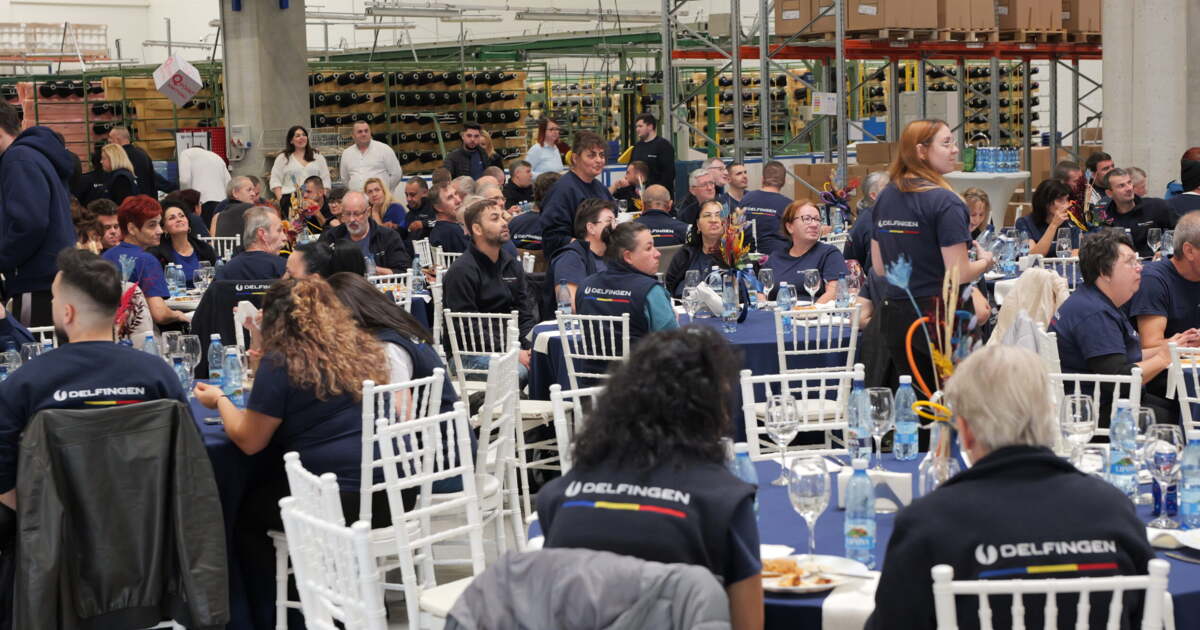 FOTO | Delfingen, la borna 20 în Arad - ARADON