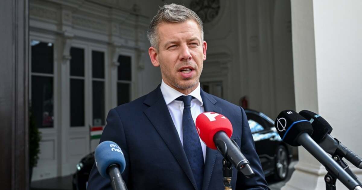 Peter Magyar susţine că guvernul va începe procedura legală de demitere ...