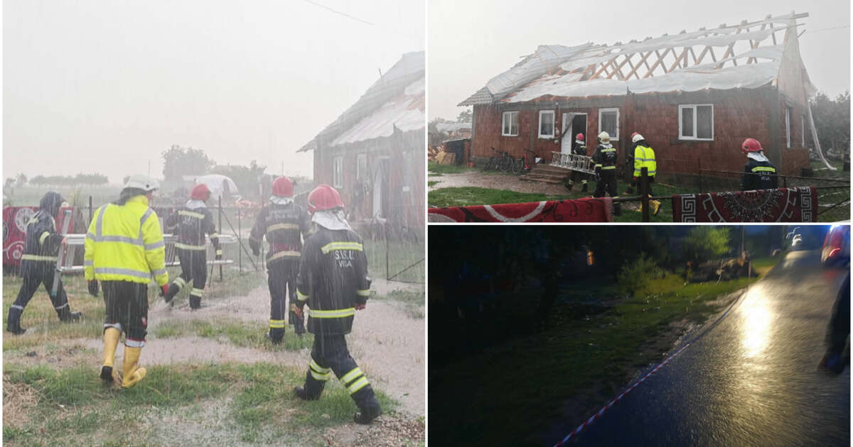 Copaci doborâți de vânt și acoperișuri distruse, la Mănăștur - ARADON