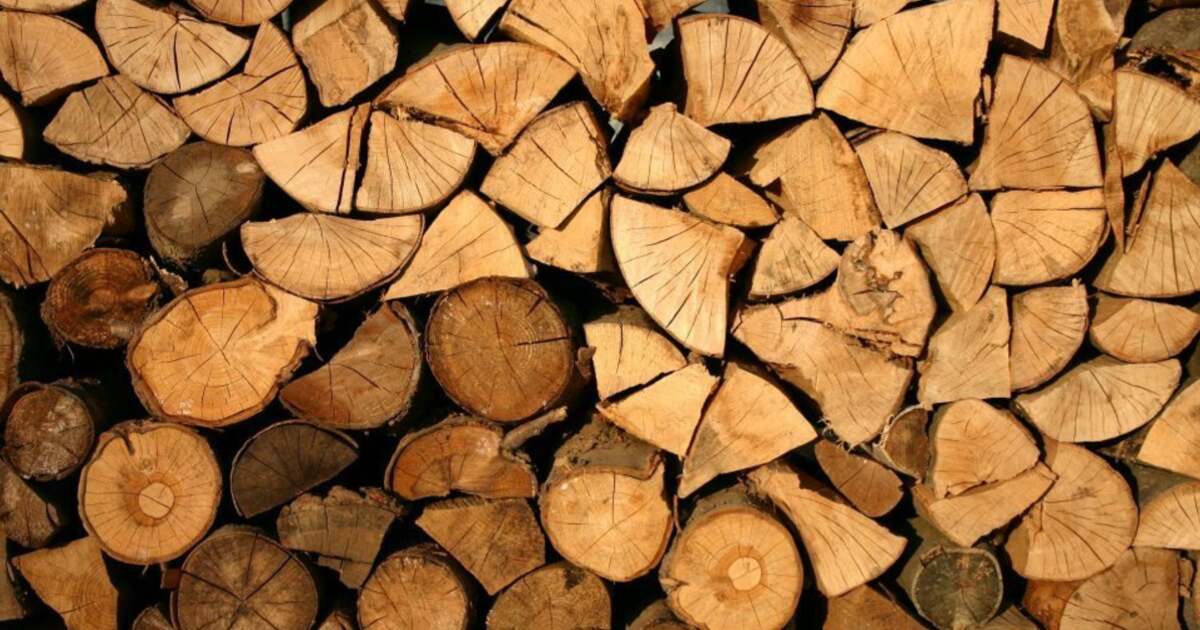Ziua Mediului a venit cu percheziții în județul Arad - ARADON